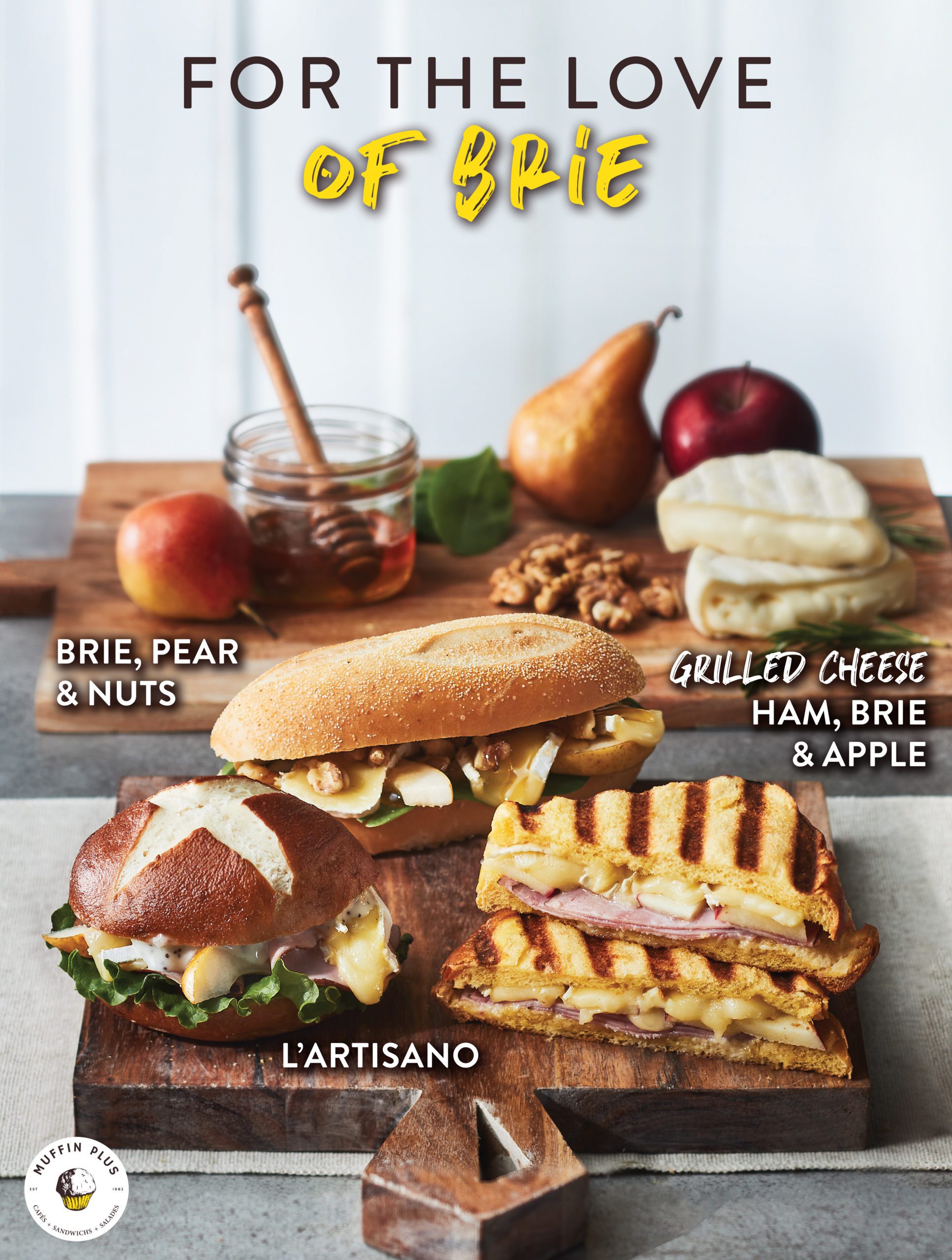 Muffin Plus | Muffin Plus